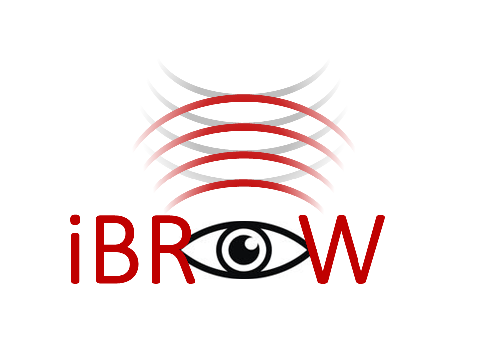 iBROW workshop - TERAPOD